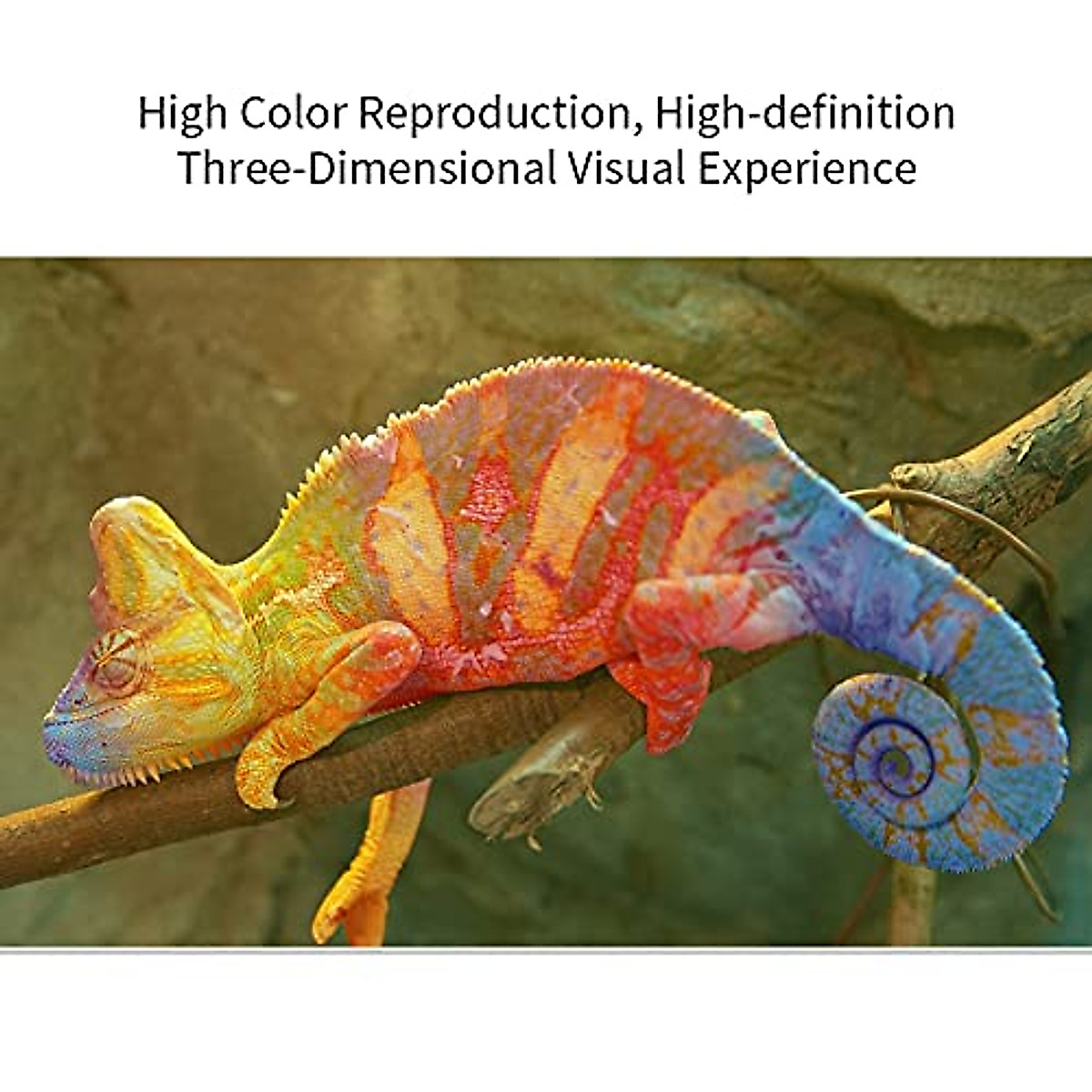 Eboxer 72inch HD Anti Crease Portable Projection Screen,Foldable Non Crease White Projector Curtain Projection Screen,for Wall/Bound onto a Frame,Support Double Sided Projection for Home/Open air