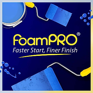 Foampro 6” Fine Finish Paint Roller Kit | 1 Plastic Paint Tray, 1 Roller Handle, 10 Foam Rollers | Foam Roller Kit w/Roller Pan | Home Painting Supplies & Paint Tools, Multicolor, 175 (175KIT)