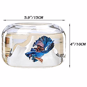 Glass Fishbowl Small Snow Mountain Goldfish Aquarium 5.9" Mini Fish Tank,Cool Design
