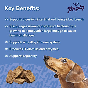 Puply Probiotics for Dogs- Veterinarian-Formulated- Beneficial Prebiotics and Probiotics- Supports Digestive, Immune, Gut Health, Allergy, Diarrhea, Yeast, Itching- Soft Chews- 90 Count- Duck Flavor