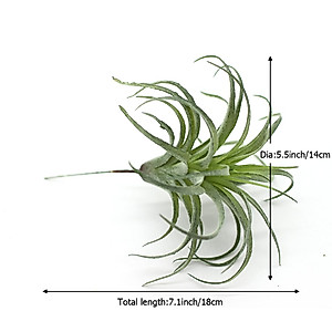 ZJCilected 2PCS Artificial Flocking Tillandsia Air Plants Faux Succulents Bromeliads for Indoor/Outdoor Garden and Home Decor, Terrarium Decorations, Arrangements, Office, and Displays(Small)