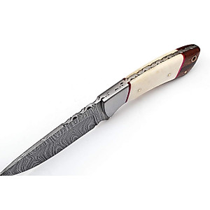 RANDY Damascus Steel Hunting Knife Best Damascus Skinning for Hunting and Camping Knife With Leather Sheath (9022) Over all 9 inches