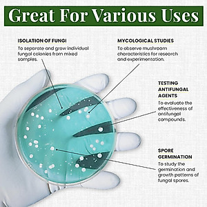 Gro Magik Premium Pre-Made Malt Extract Agar Plates for Mycology, Pre-Poured and Sterilized Agar Plates for Mushrooms to Support Robust Mycelium Growth (5 Pack)