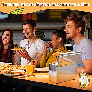 Tessco 2 Pcs Stainless Steel Straw Dispenser for Pencils Reusable Straw Holder with Lid Pencils Dispensers for Class Straw Organizer for Countertop Home Coffee Bar Supplies (Silver)