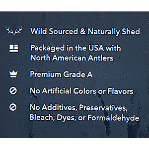 Amazon Brand - Wag Elk Antler - Whole - X-Large 9.5-10.5 inches (Best for Dogs over 45 lbs)