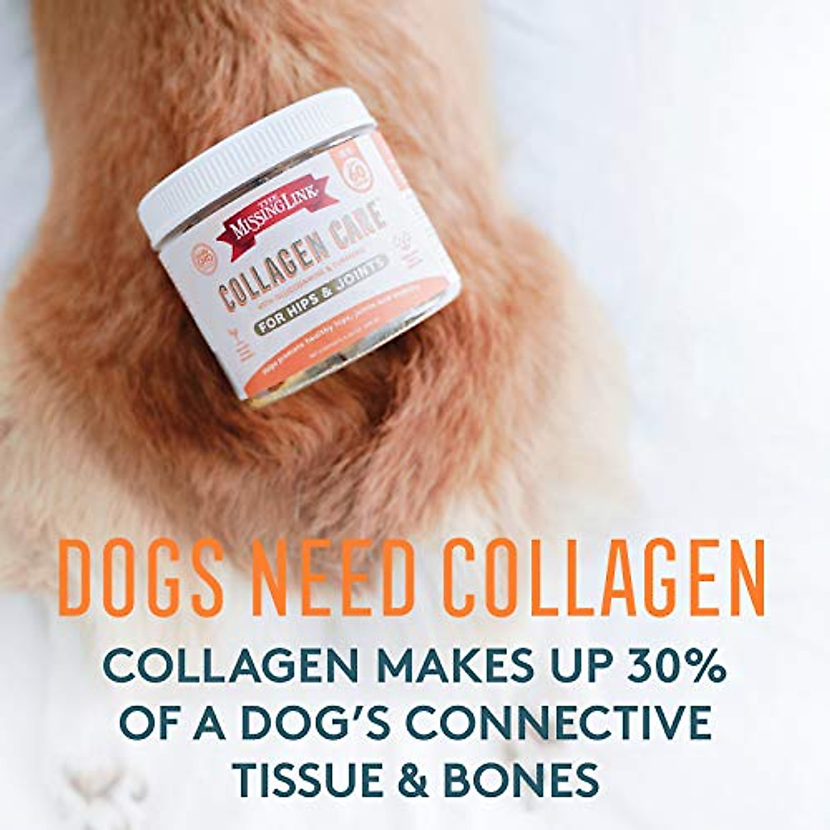 The Missing Link Collagen Care Soft Chew Nutritional Treats for Dogs - Collagen, Glucosamine, Chondroitin & Turmeric - Mobility & Anti-Inflammatory Support - Hip & Joint 60 Count