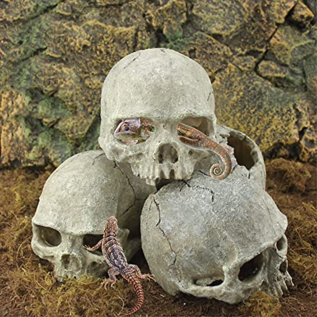 Tfwadmx Aquarium Skull Decor, Resin Fish Tank Decorations Cave Betta Fish Hiedout Reptile House for Small Fish,Shrimp