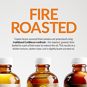 Tropical Isle Living Jamaican Black Castor Oil 8oz PET Bottle | Promotes Hair Growth, Conditions Skin, Eyebrows & Eyelashes, Beard, Scalp and Nail Care. Strengthen, Moisture & Repair