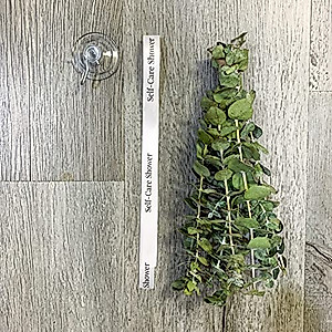 Self Care Shower Eucalyptus Fresh USA [Hanger Included] 10" Mini Bunch Live & Natural for Shower in Bathroom Leaves Greenery Stems Lavender Shower Plant, Fragrance, Decor