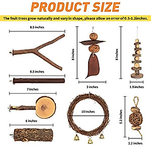 8pack Natural Wood Parrot Toys Set,Including Bird Perches,Bird Swing,Flat Bird Perch,Bird Chewing Toys.Bird Cage Accessories Suitable for Parakeets,Cockatiels,Finches,Budgie,Love Birds (8-Pack)