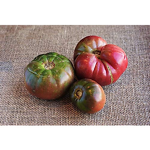 Gaea's Blessing Seeds - Tomato Seeds - Cherokee Purple Slicing Tomato - Non-GMO Seeds with Easy to Follow Planting Instructions - Open-Pollinated 96% Germination Rate