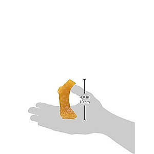 Nylabone Puppy Chew Gentle Chewing Puppy Antler Alternative Chicken Flavored Dog Chew Toy, Petite