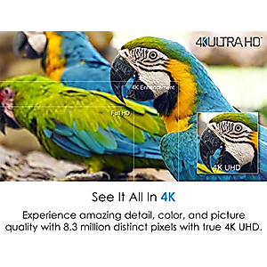 Optoma UHD51A 4K UHD Smart Home Theater Projector, Works with Amazon Alexa & Google Assistant