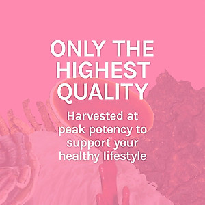 Host Defense Turkey Tail Capsules - Digestive Health & Immune Response Support Supplement - Mushroom Supplement for Gastrointestinal & Gut Microbiome Support - 120 Capsules (60 Servings)*