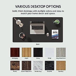 FLEXISPOT Electric Height Adjustable Desk with Desktop, 48 x 30 Inches, Standing Desk Stand Up Desk Workstation (Silver Frame + 48 in Black Top)