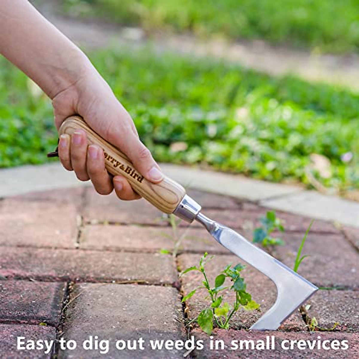 Berry&Bird Crack Weeder, Crevice Weeding Tool, 11.2" Stainless Steel Manual Weeder, L-Shaped Side-Walk Puller Spatula, Grass Cutter Knife, Weeding Sickle for Garden Lawn Yard Patio Terrace Paving Moss