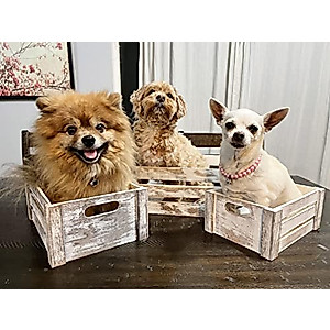 Admired By Nature Rustic White Set of 3 Distressed Decorative Wood Crates Storage Container