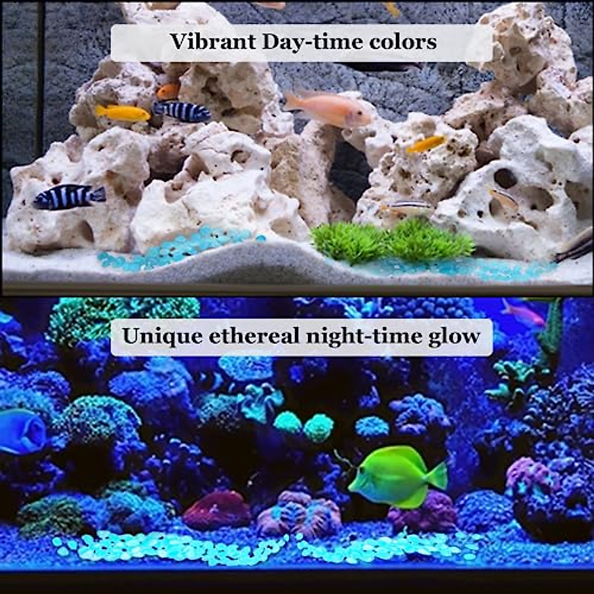 SunGrow Betta Aquarium Stones, Lightweight, Fish Bowls and Reptile Tanks Decor, 200 Pcs