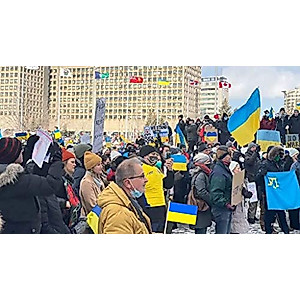 10PCS Ukraine Hand Held Flags 5.5x8.5in / 14 x21cm Ukrainian National Stick Flags Outdoor Indoor Decor Polyester Small Mini Flags Decoration for Car Party Festival Home Sports Events