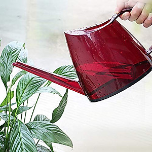 Indoor Watering Can for House Bonsai Plants Garden Flower Long Spout 40oz 1.4L 1/3 Gallon Small Modern Translucent (Red)