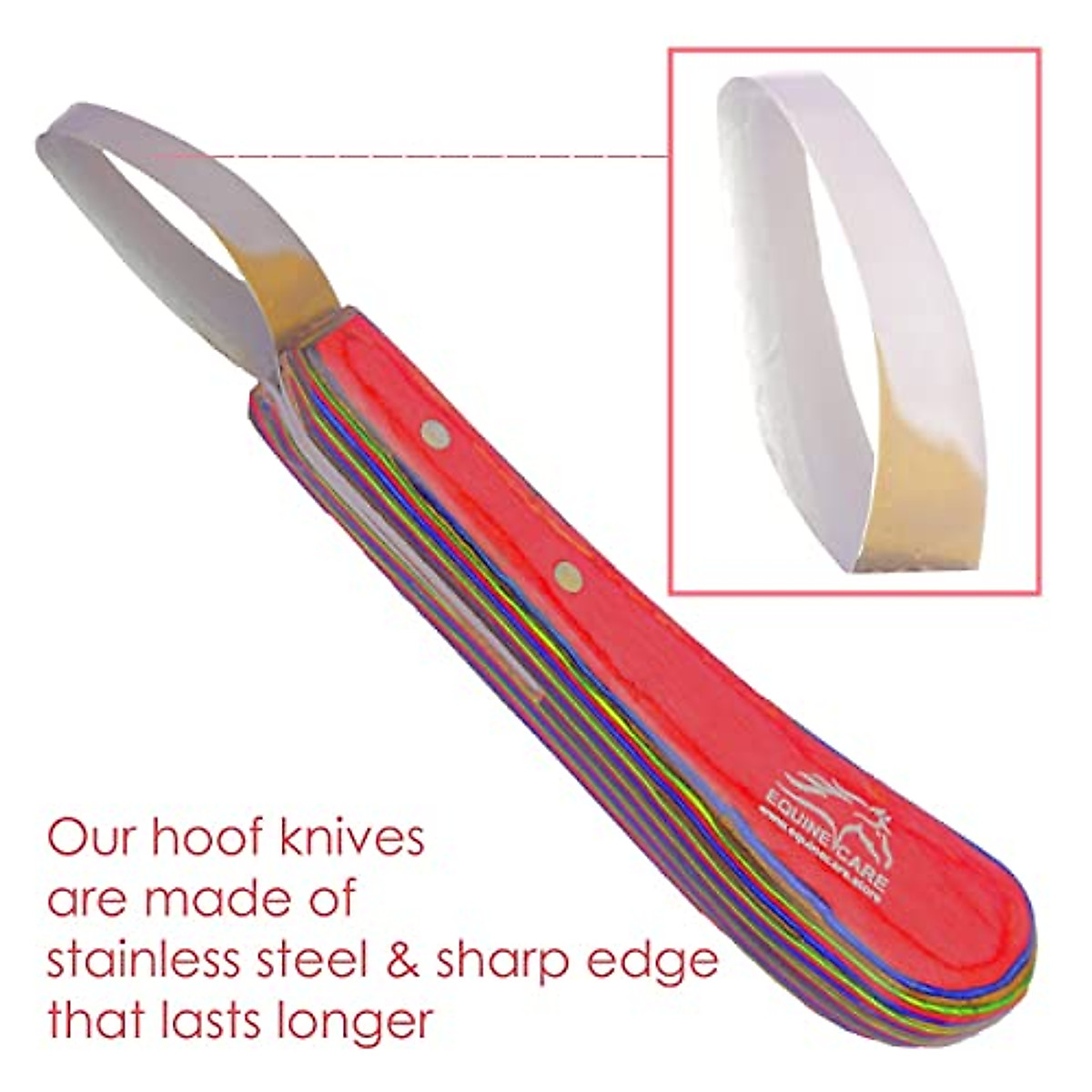 Equine Care Farrier Hoof Loop Knife - Sharp J2 Steel Blades with Comfortable Sheet Handle - Ideal for Farriers and Horse Owners