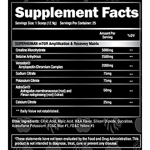 Alpha Lion Superhuman Post, Post Workout Recovery, Fast Acting Post Workout for Men & Women (25 Servings, Gainy Smith Apple)