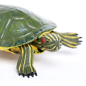 Safari Ltd. Red-Eared Slider Turtle Figurine - Realistic 5.25" Model Figure - Educational Toy for Boys, Girls, and Kids Ages 18M+