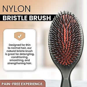 Since 1869 Hand Made In Germany - Nylon Boar Bristle Brush Suitable For Normal to Thick Hair - Gently Detangles, No Pulling or Split Ends - Softens and Improves Texture, Stimulates Scalp (Medium)