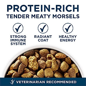 Purina ONE Plus Large Breed Adult Dog Food Dry Formula - 31.1 lb. Bag