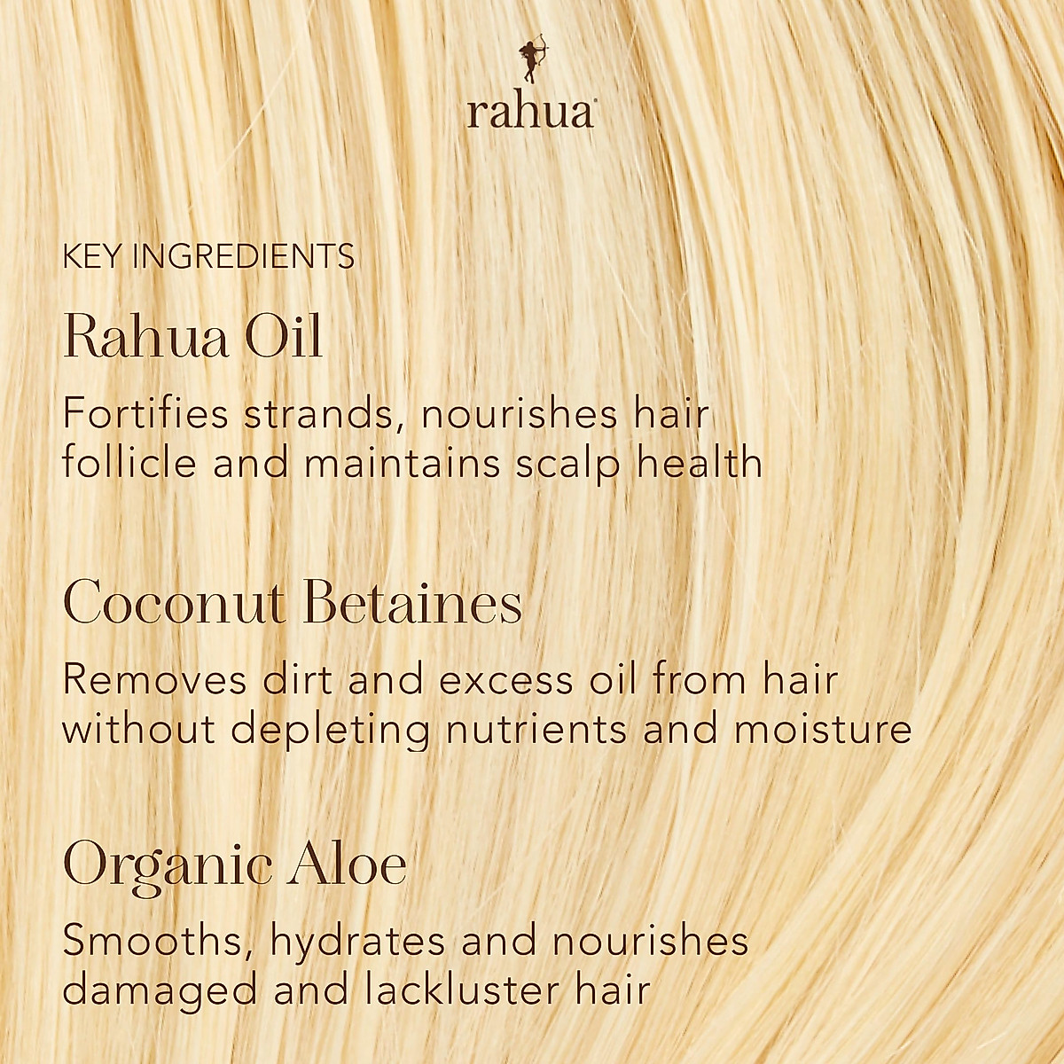 Rahua Classic Hair Shampoo, 9.3 Fl Oz, Organic, Sulfate-Free, Plant-Based, Woodsy & Earthy, with Palo Santo Oil for Scalp Care & Silky Hair