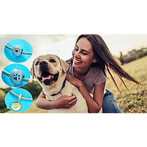 18K Yellow Gold Plated Dog Paw Print CZ Charm Pendant, 925 Sterling Silver Always in My Heart Puppy/Cat Pawprint Beads fit Pandora Bracelet, Gift for My First Mothers Day