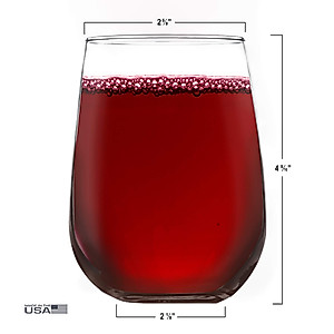 DEMS for USA RBG Wine Glass Stemless | SPEAK YOUR MIND - Ruth Bader Ginsburg | 15oz Commercial Chip Resistant Tumbler | Made in USA, 2M103-438