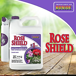 Bonide Rose Shield Spray, 64 oz Ready-to-Use, Insect and Disease Protection for Roses, Flowers and Ornamentals