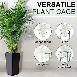 SYITCUN 6 Pack Peony Cages and Supports, 10" (W) x 24"(H) Plant Support, Rust-Proof Metal Plant Support Stakes for Outdoor&Indoor Plants, Bonus 20 Plant Clips and 20 Plant Ties