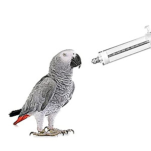 OBANGONG 3 PCS Bird Feeding Syringe Feeding Tubes for Baby Birds Used for Pet Sick Bird Parrot Feed Milk or Medicine,with 3 Curved Tubes 50ml,20ml,10ml