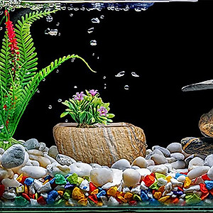 T4U 5.5 Inch Ceramic Succulent Pot Planter with Drainage Hole Set of 3, Stone Shape Rectangle Window Box Cactus Plant Containers Gift for Mom Sister Aunt Best for Home Office Table Desk Decoration