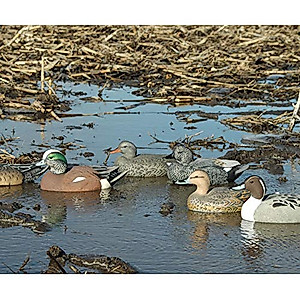Avery Life-Size Duck Puddler Pack (1/2 Dozen)