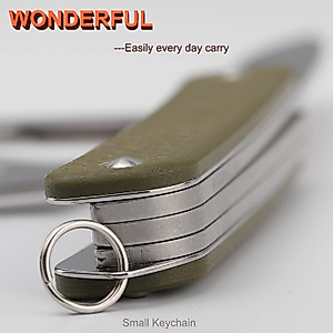 Ruike Keychain Small Pocket Knife,Folding 6 in 1 Multitool,12C27 Steel Stainless,G10 Handle,Mini EDC Tactical Camping Army Tac Survival Hunting Gear,Key Compact Scissors,Screwdriver,Bottle Opener Tool