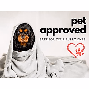 Perfect Fit SoftHeat - Queen Micro-Fleece Heated Blanket - Luxuriously Warm & Soft Electric Blanket, Patented Low-Voltage Technology (Natural, Queen)