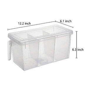 MineSign Plastic Storage Containers Square (Set of 4) And Handle Food Storage Organizer Boxes with Lids (Set of 2 Organizers with Lid and 6 Removable Bins)