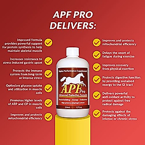 APF PRO Equine | Natural University-Level researched Horse Supplement | Gastric Health, Resistance to Stress, Immune Support, Muscle Health, Endurance