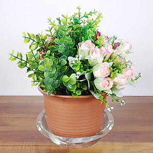 Tecmisse 25 Pack Clear Plastic Plant Saucer Drip Trays, Large Plant Plate Dish, Plastic Plant Pot Saucers Flower Pot Set for Indoor Flower Pots and Planters, Assorted Sizes(6, 8, 10 Inch)