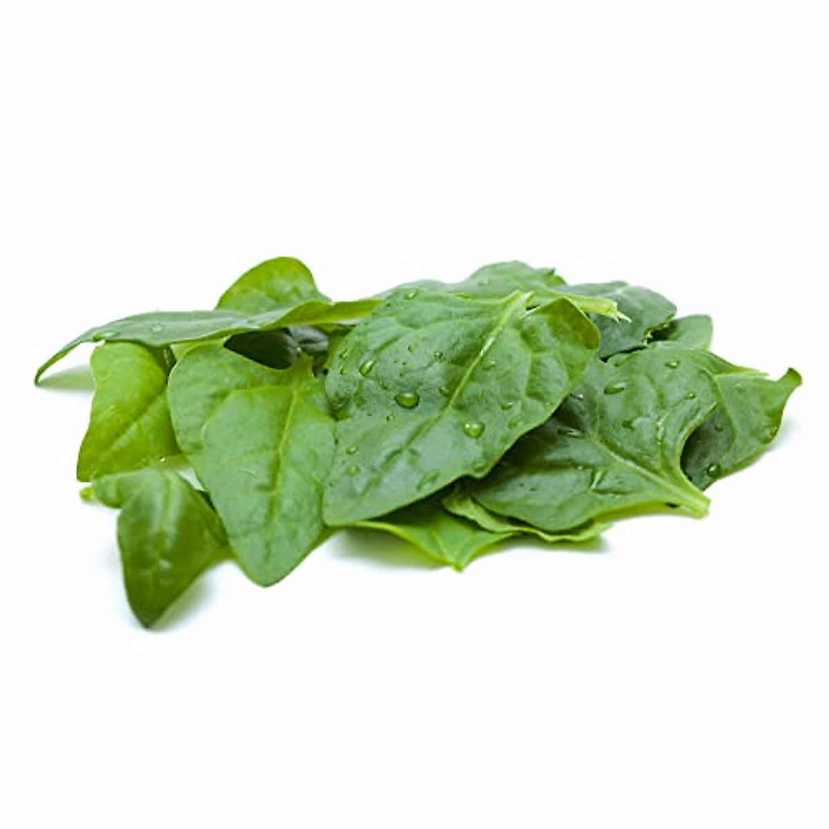 New Zealand Spinach Seeds for Planting, 100+ Heirloom Seeds Per Packet, (Isla's Garden Seeds), Non GMO Seeds, Botanical Name: Tetragonia tetragonioides, Great Home Garden Gift