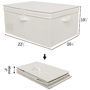 GRANNY SAYS Bundle of 1-Pack Jumbo Storage Bins with Lids & 1-Pack Hanging Storage Shelves