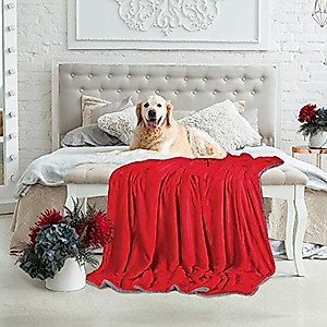 Glamvie Home Soft Reversible Sherpa Twin Size Blanket- Warm, Ultra-Plush, Dual-Sided Sherpa and Fleece Cover for Full or Twin Bed or Couch- Fluffy, Luxurious Faux-Sheepskin (60” x 80”) (Red)