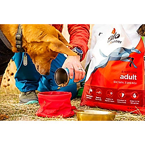 Nulo Frontrunner Dry Dog Food for Adult Dogs - Grain Inclusive Recipe with Beef, Barley, & Lamb - All Natural Pet Foods with High Taurine Levels - Animal Protein for Lean Strong Muscles