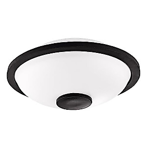 Nino Percussion Mini Melody Steel Tongue Drum with Mallets — for All Ages — Easily Create Songs, for Classroom Music, 2-Year Warranty (NINO980WH)