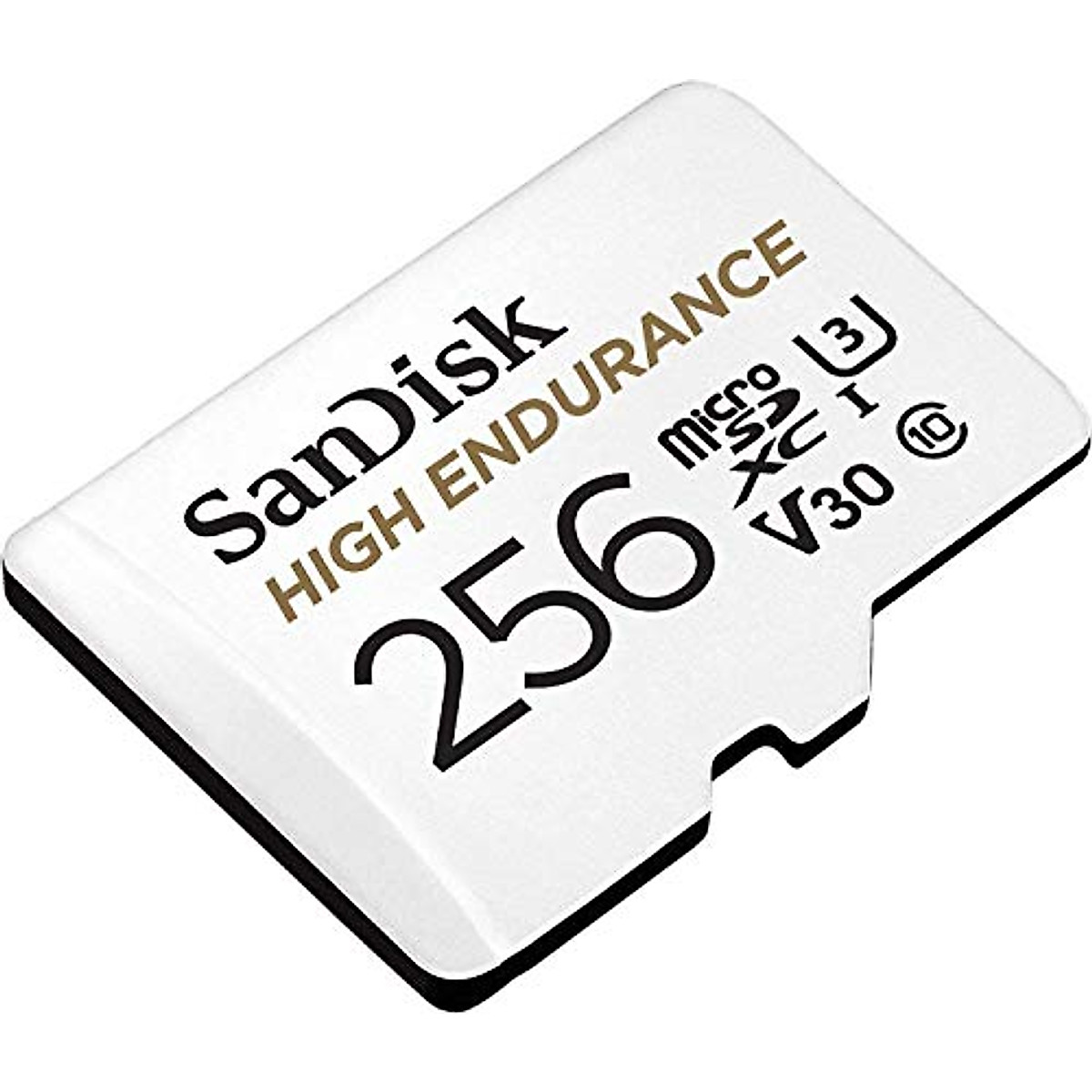 SanDisk High Endurance 256GB TF Card MicroSDXC Memory Card for Dash Cams & Home Security System Video Cameras (SDSQQNR-256G-AN6IA) Class 10 Bundle with (1) Everything But Stromboli MicroSD Card Reader