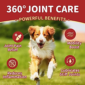Glucosamine for Dogs, Joint Supplement for Dogs with Chondroitin, MSM, Omega-3, Probiotics for Dogs, 6 Billion CFUs, Freeze Dried Dog Probiotics with Prebiotics and Digestive Enzymes