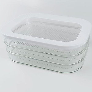 Dewedrt 1.6L with 3 Tier Meat Pieces Storage Box Airtight Lid Dishwasher Safe 3Layer Crisper